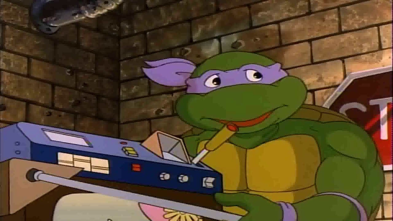 Strongest, Weakest, Smartest, and Most Carefree Ninja Turtle, Ranked