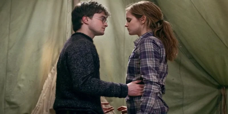 5 Things About 'Harry Potter and the Deathly Hallows Part 1' That Made ...