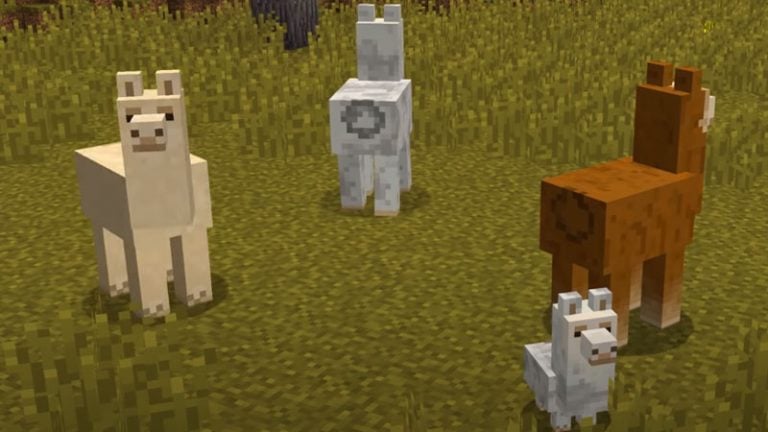 What Do Llamas Eat in Minecraft?