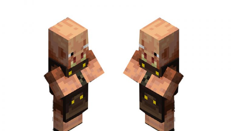 Every Minecraft Villager Job Explained In Detail (2021)