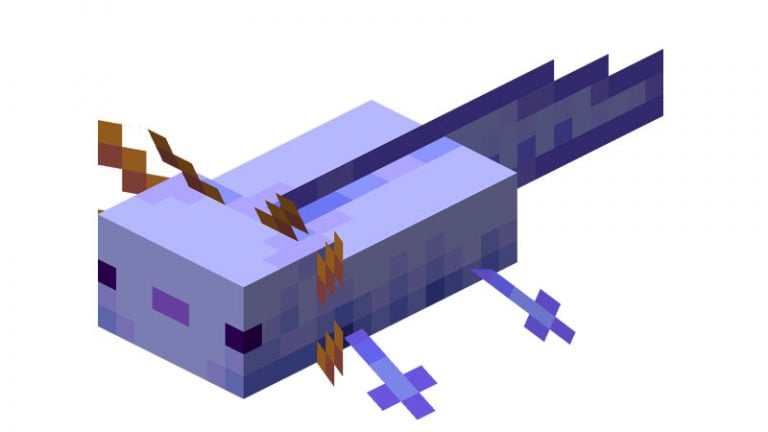 5 Rarest Axolotl Minecraft And How To Get Them