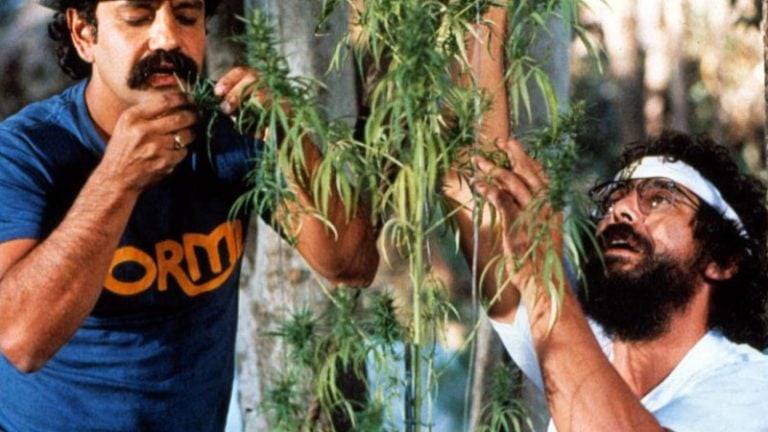 All 8 ‘Cheech & Chong’ Movies in Order (Including Secondary Movies)