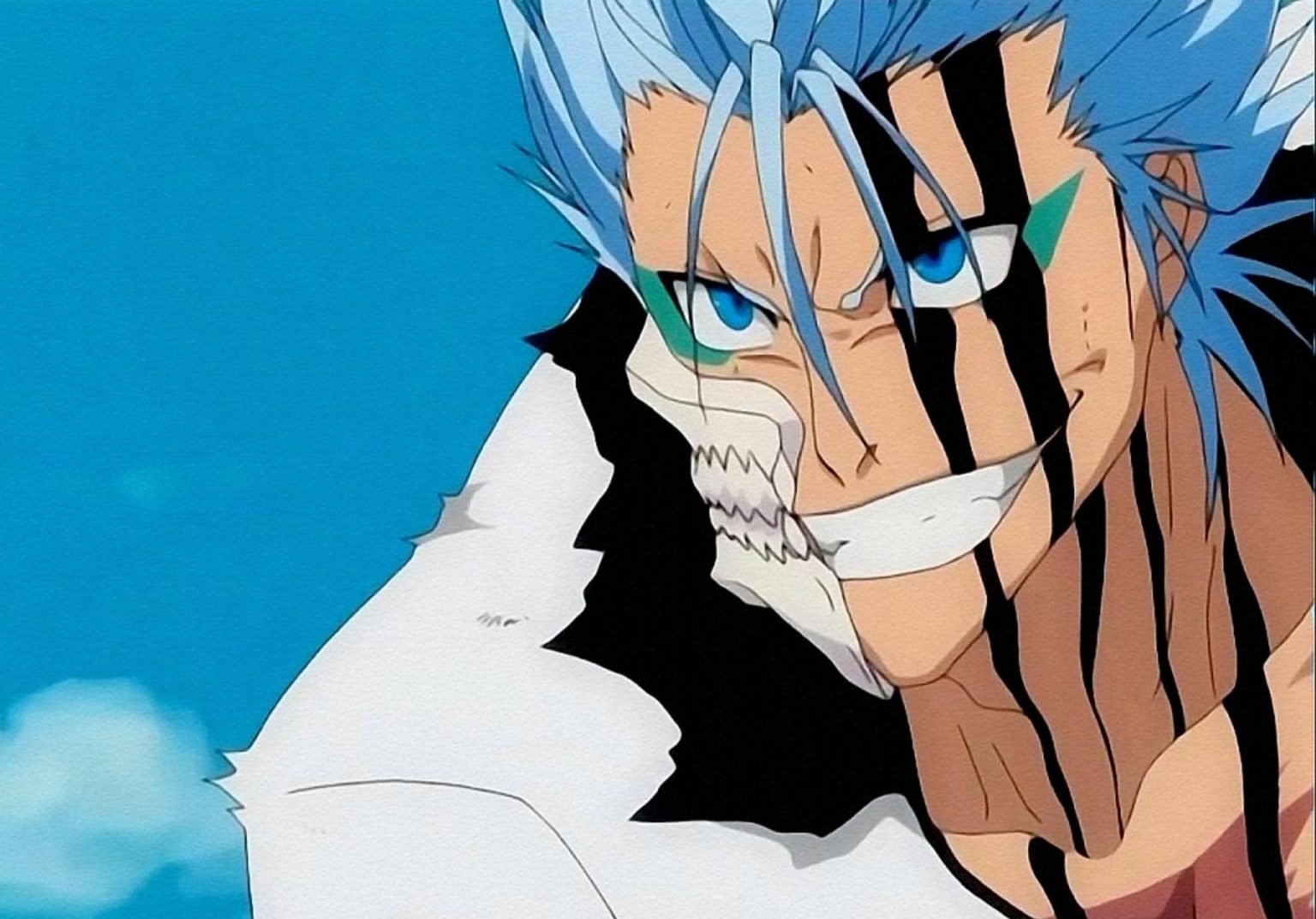 20 Most Popular Blue-Haired Anime Characters (Ranked)