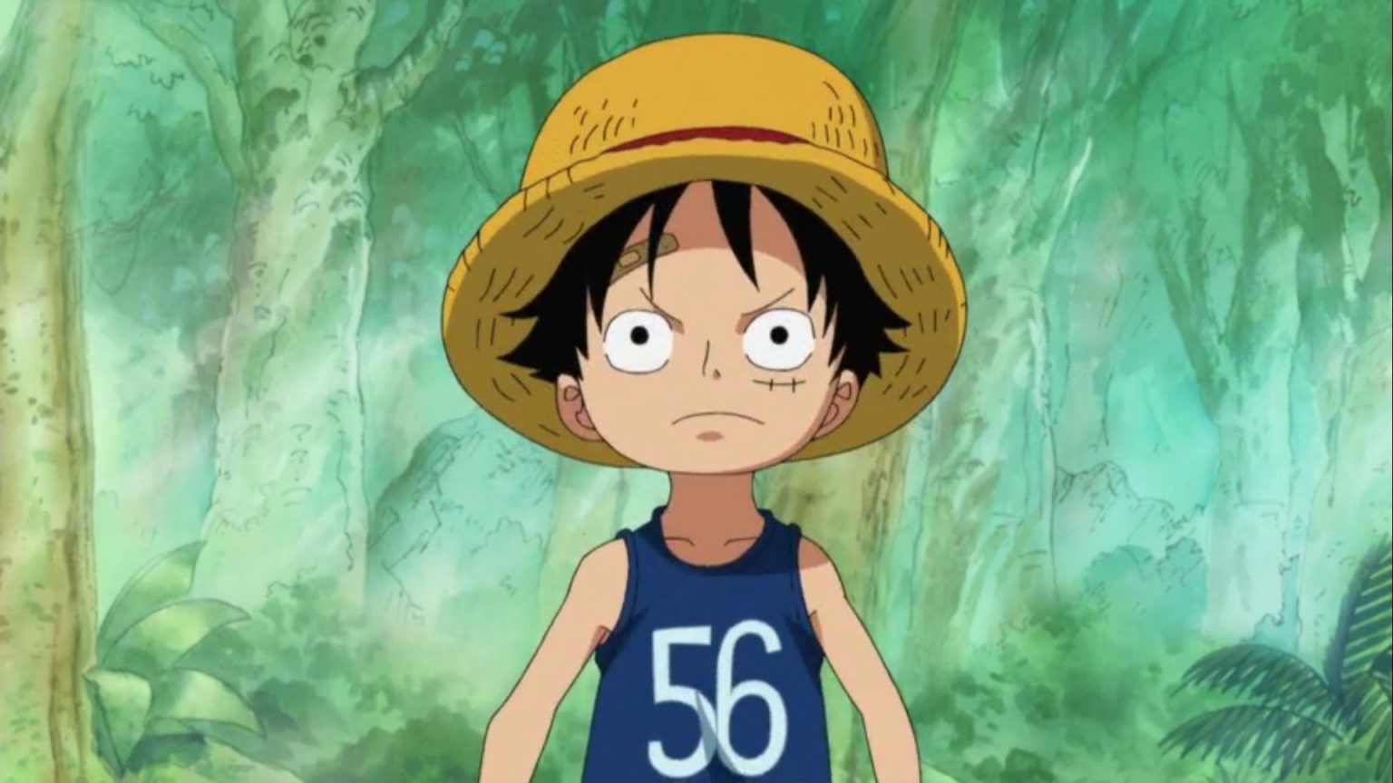 How Old Is Monkey D. Luffy in One Piece?