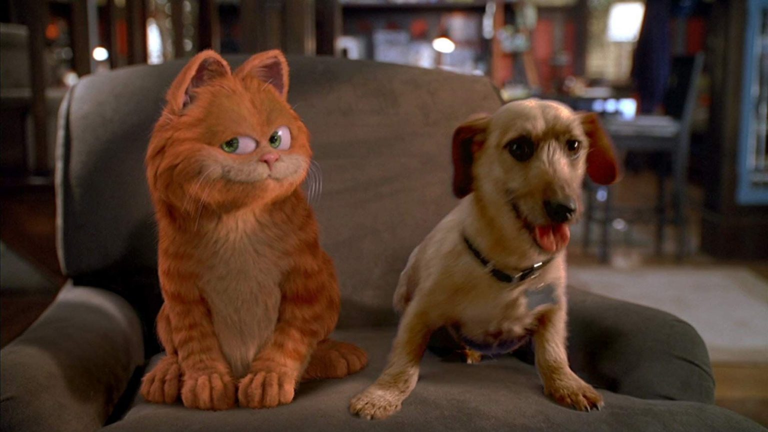 Garfield Movies in Order: The Best Watch Order