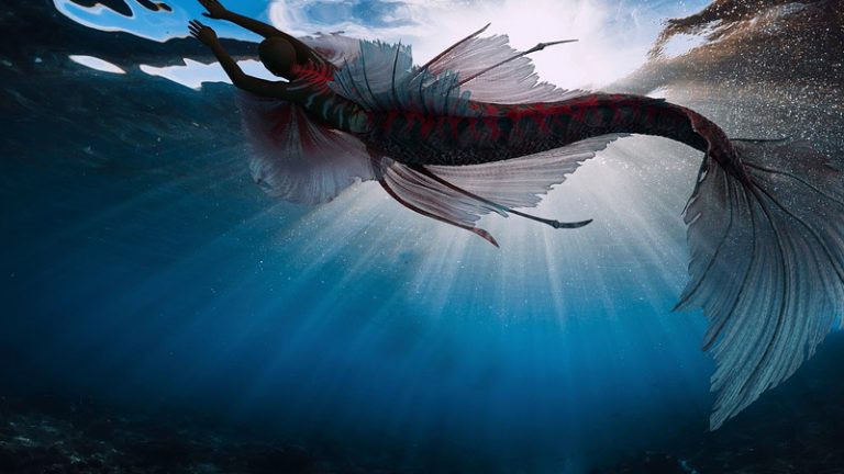 Sirens Vs. Mermaids: 10 Main Differences