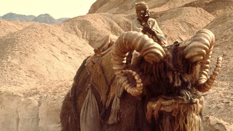What Do Banthas Eat In Star Wars (& What Is A Bantha Fodder)?