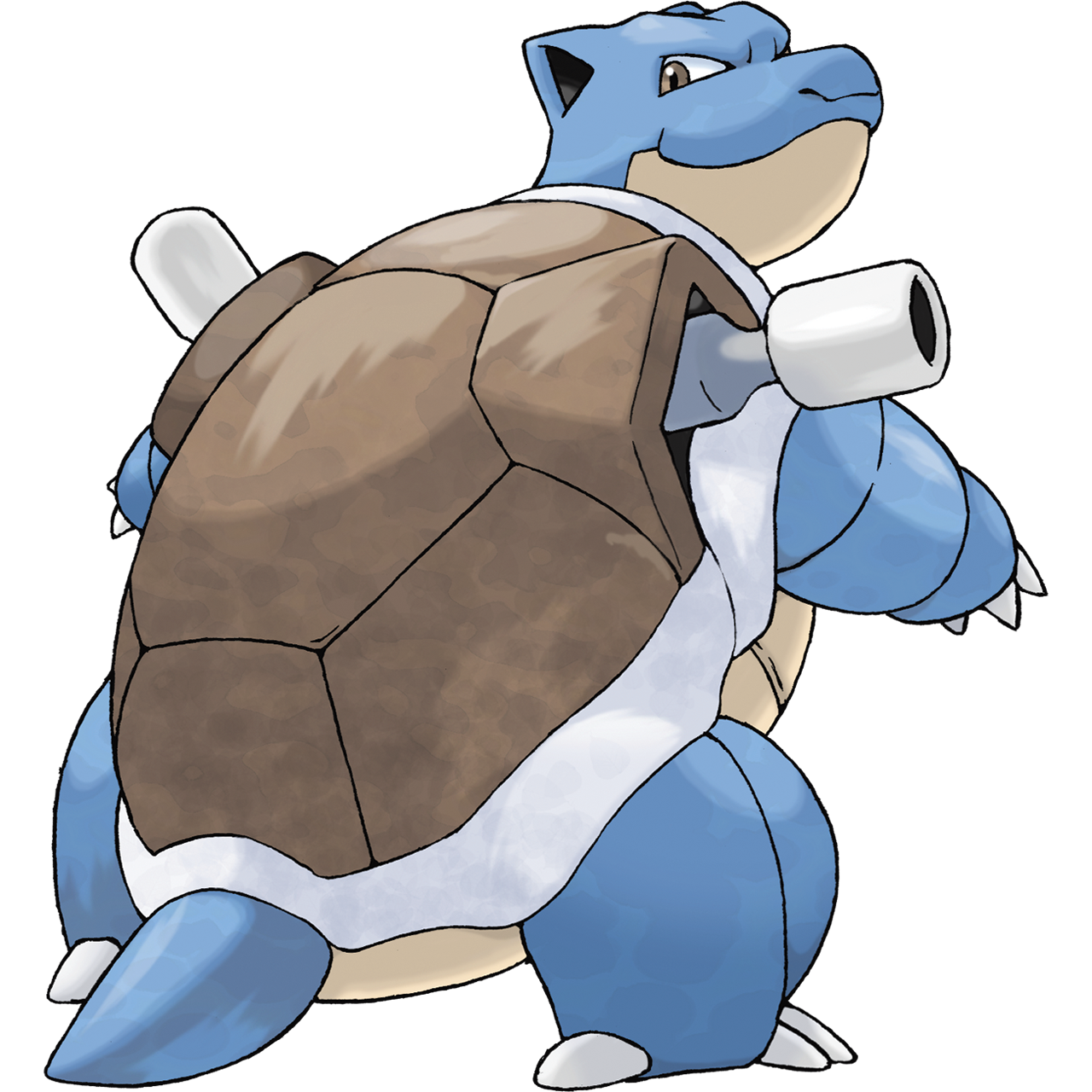 All 13 Turtle Pokémon: Including Moves, Abilities & Weaknesses