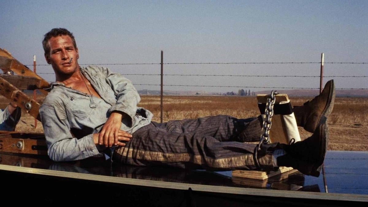 40 Best Prison Movies You Can’t Escape From