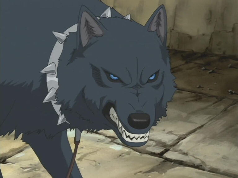 40 Best Anime Characters That Start with a B [with Images]
