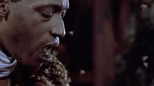 All 4 Candyman Movies in Order