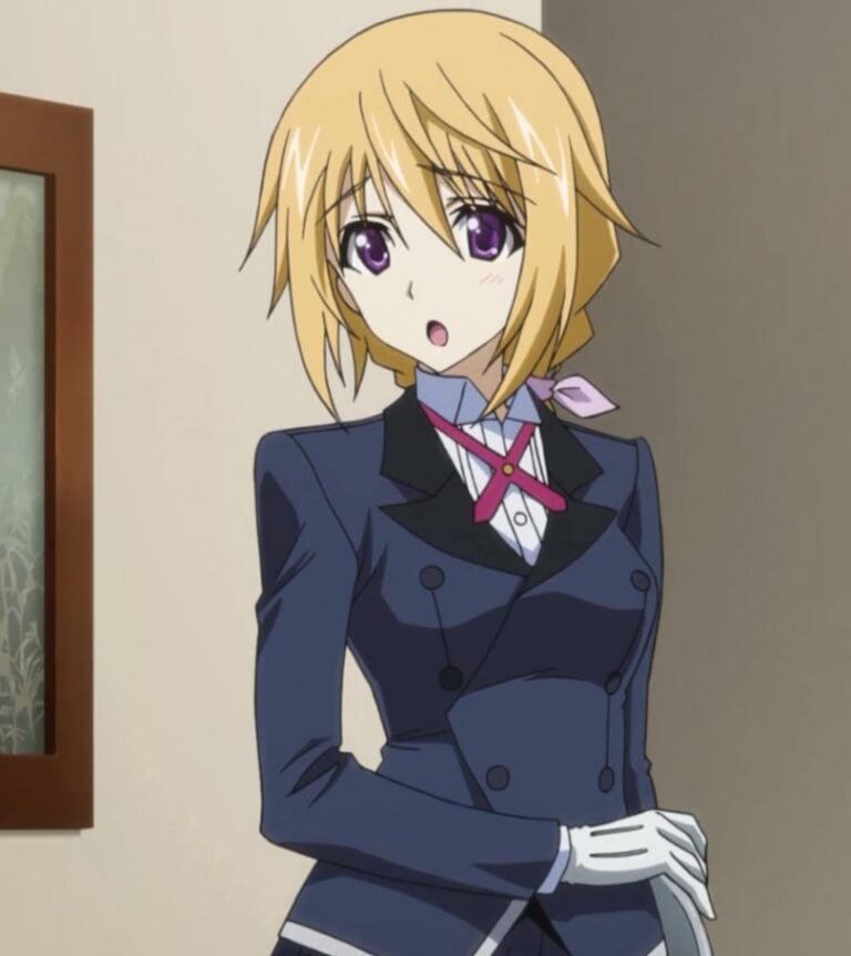 15 Best Reverse Traps in Anime (Ranked)