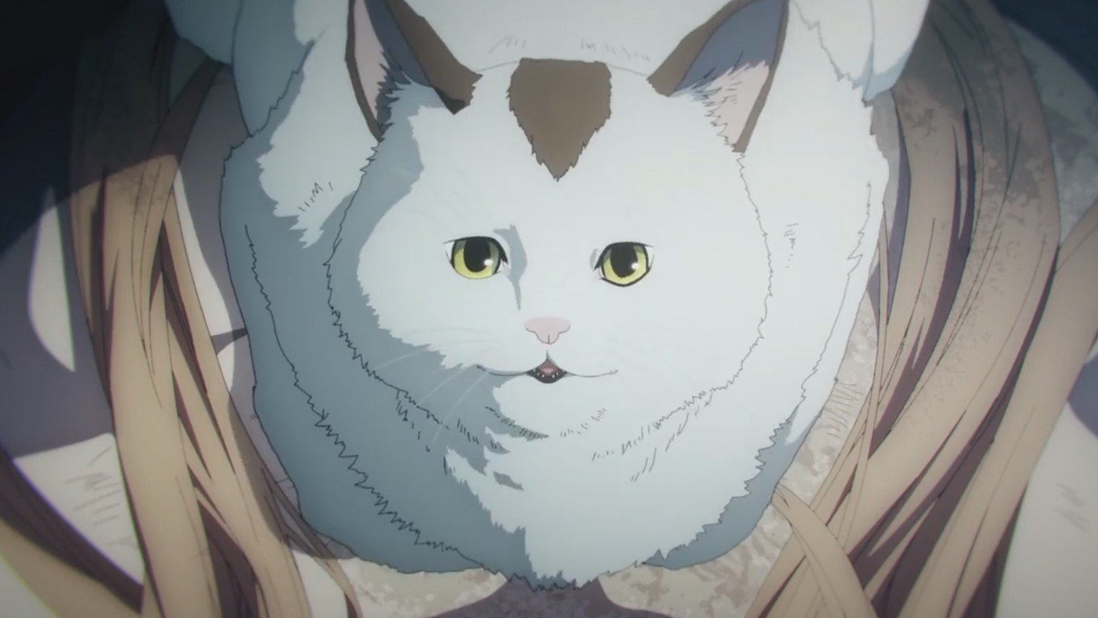 Who Is Meowy in Chainsaw Man & What Breed is She?