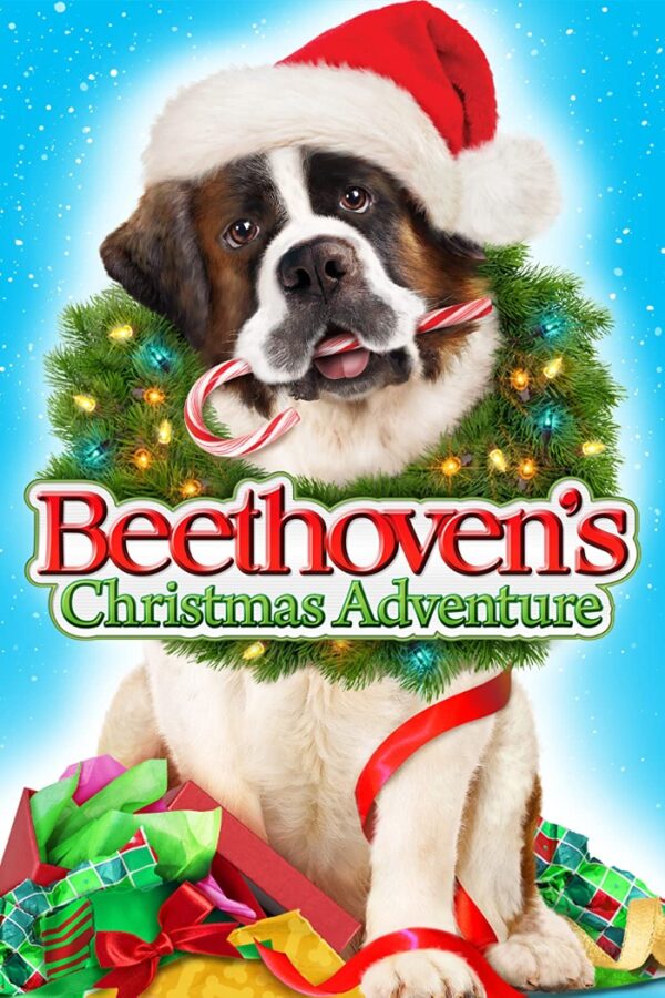 15 Best Christmas Movies With Dogs (& Why You Should Watch Them)