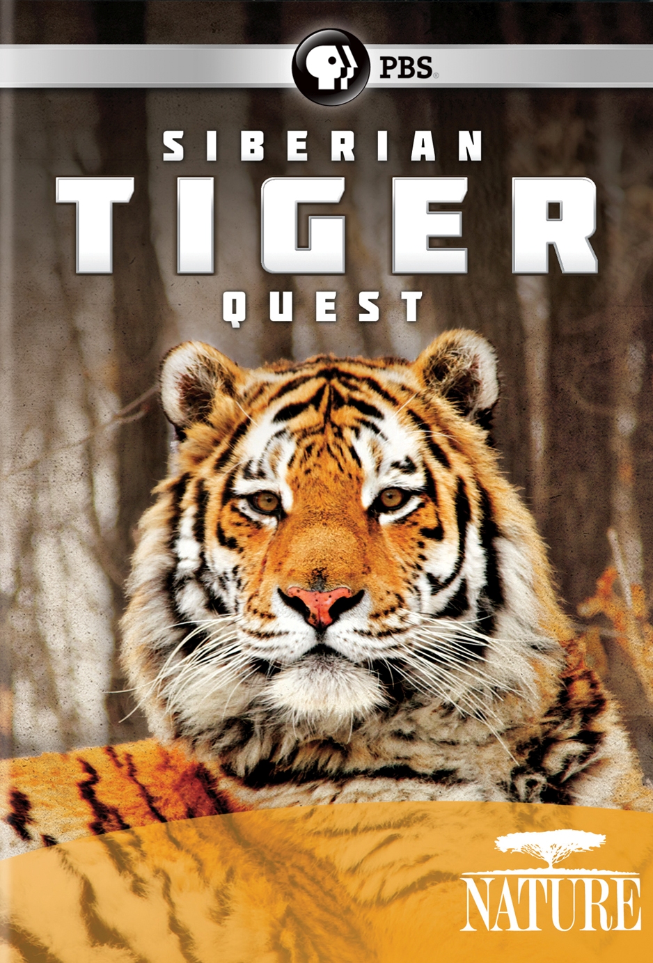 12 Best Tiger Movies & Documentaries for Animal Lovers