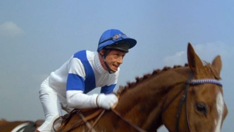 12 Best Horse Racing Movies & Why You Should Watch Them