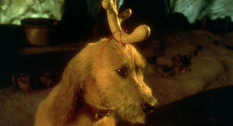 50 Most Memorable Dr. Seuss Characters