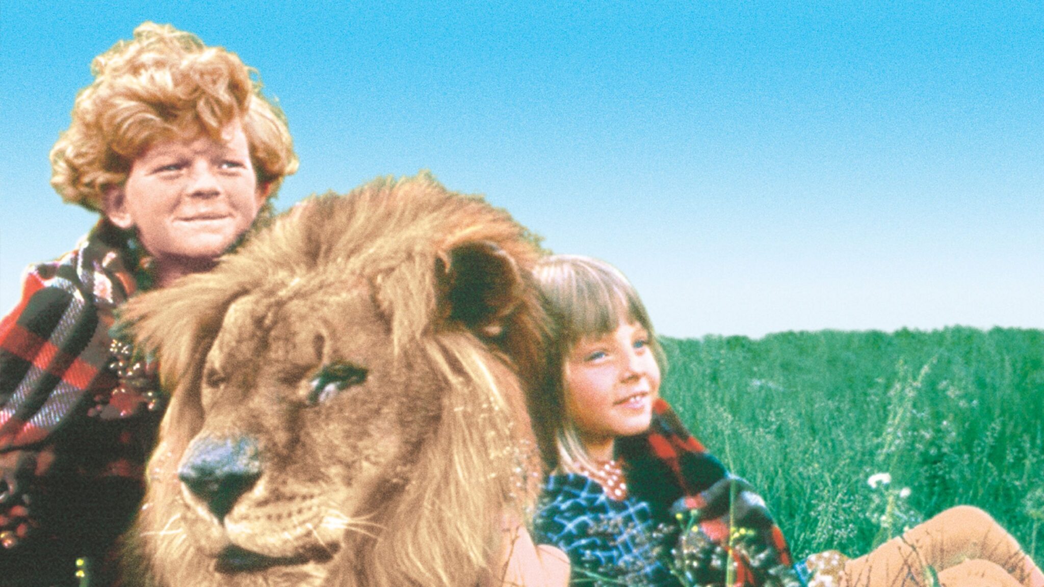 25 Best Lion Movies & Why You Should Watch Them