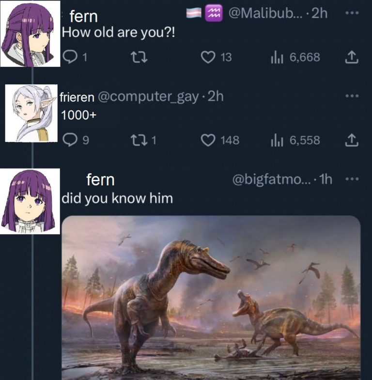 10 Funniest Memes from the 'Frieren' Anime