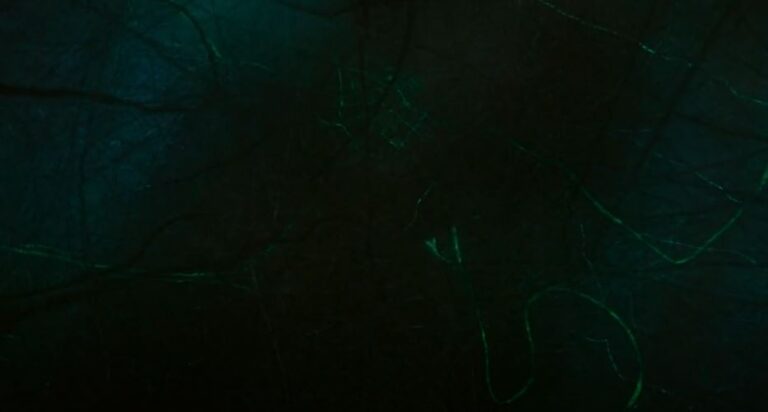 ‘Loki’ Season 2 Finale Recap & Ending Explained: Loki Became the God of ...