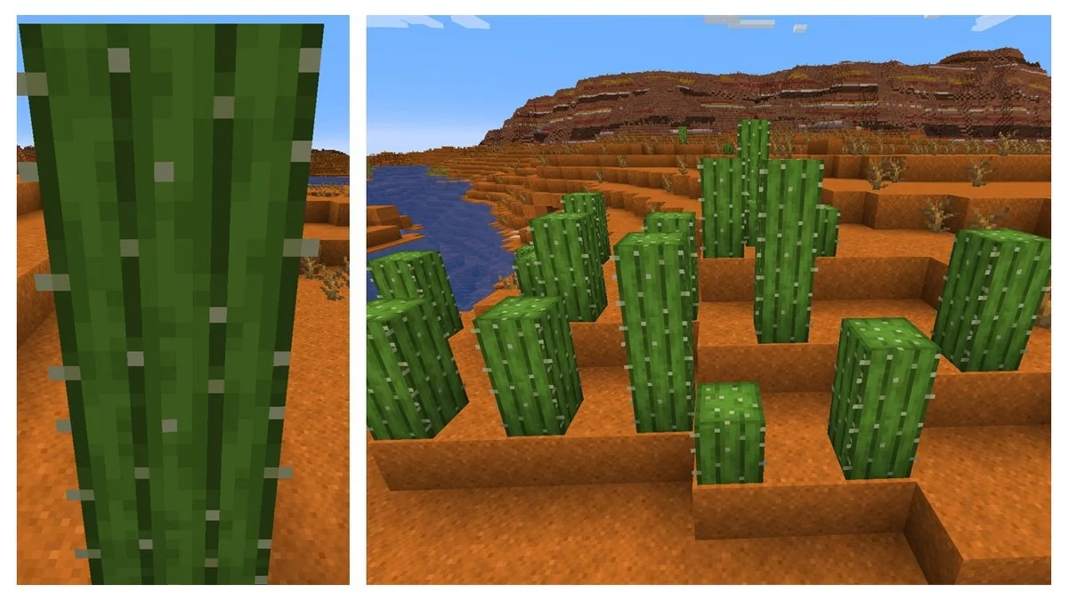 Minecraft: Here’s How Long It Takes for Cactus To Grow
