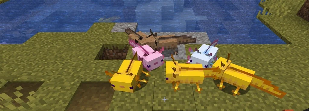Minecraft: Do Axolotls Need Air & Can They Survive on Land?