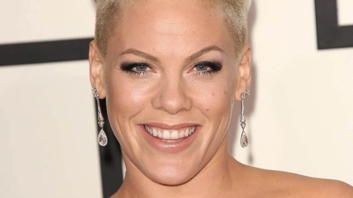 Pink Hospitalized on New Year’s Eve